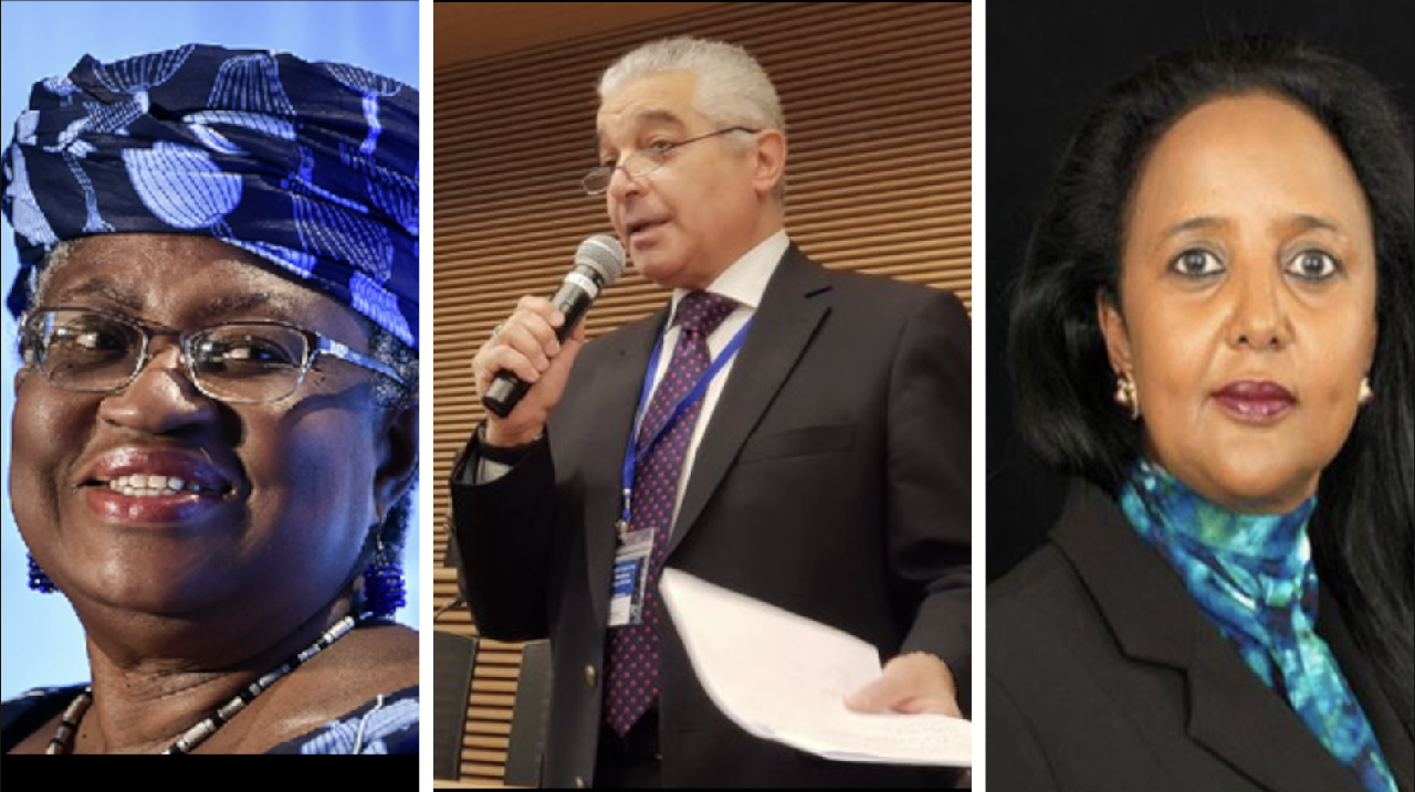 The race for WTO top seat begins in earnest - CGTN