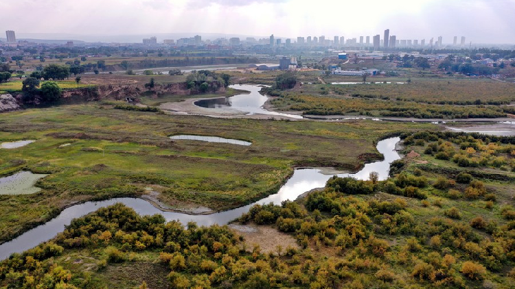 Regional resource Hub for protected areas and biodiversity launched - CGTN