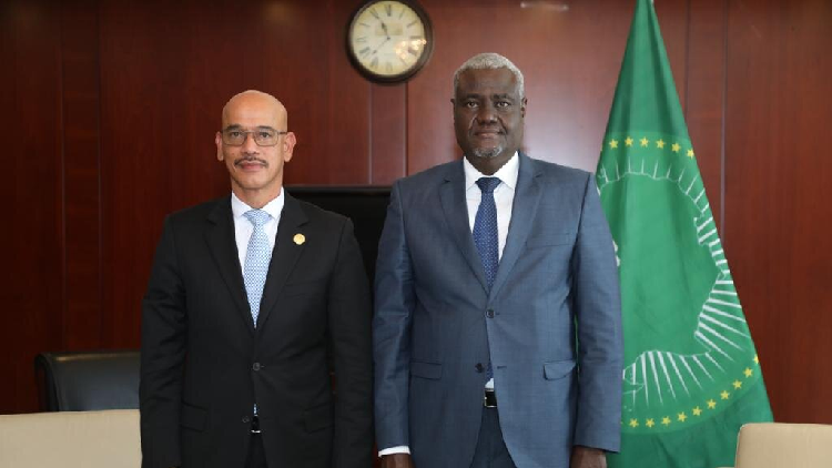 African Union leader Faki re-elected for second 4-year term - CGTN