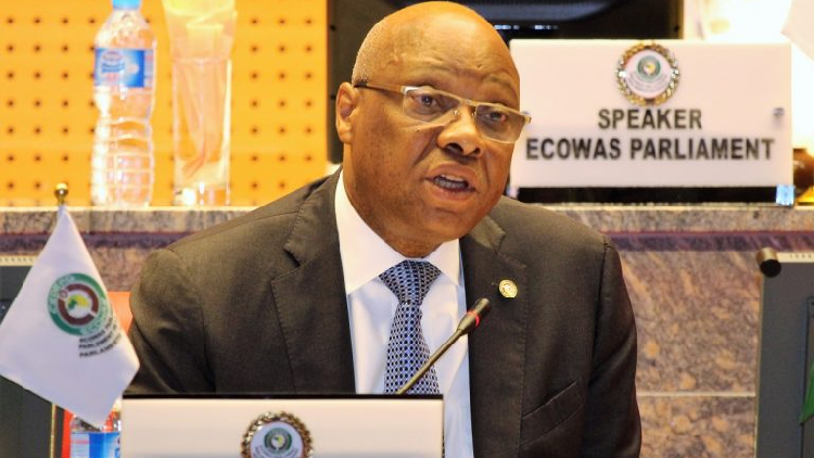 ECOWAS electricity market key to West African development: official - CGTN