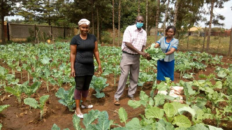 Kenyan farmers use online groups to plan for adverse climate changes - CGTN