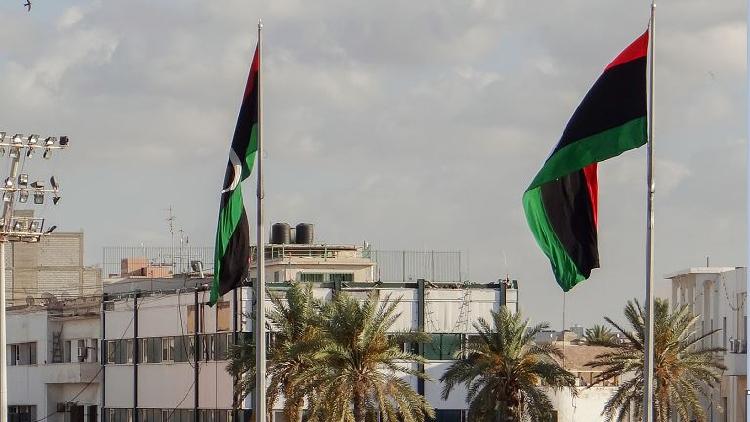 Libya, Malta sign agreement on medical cooperation - CGTN