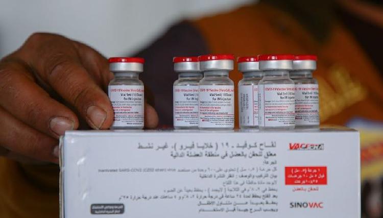 Gaza receives 500,000 doses of Vacsera-Sinovac COVID-19 vaccines - CGTN