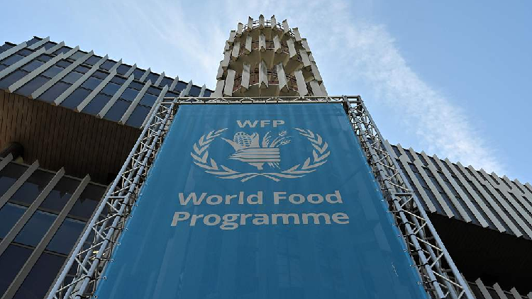 WFP warns of looming hunger emergency for South Sudanese fleeing ...