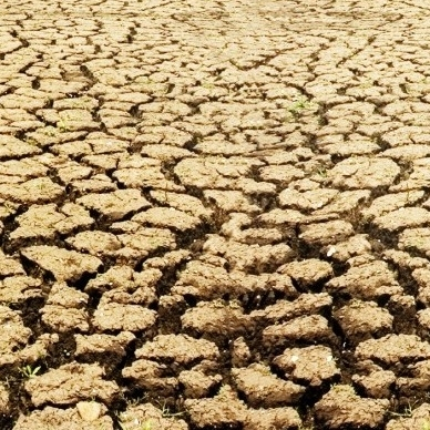 Kenya faces worst drought in 38 years - CGTN