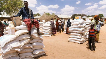 Ethiopia's food security situation improving: WFP - CGTN